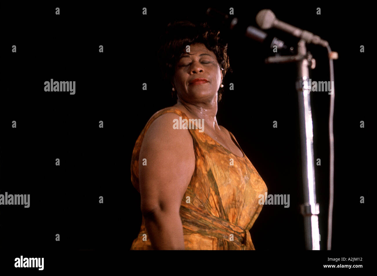 ELLA FITZGERALD (1917-1996) American Jazz singer about 1960 Stock Photo ...