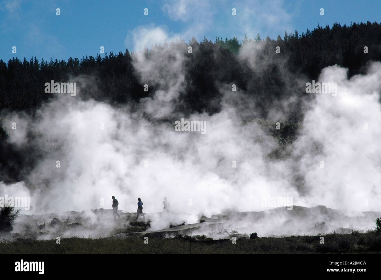 Hissing clouds of steam create a true geothermal experience at the ...