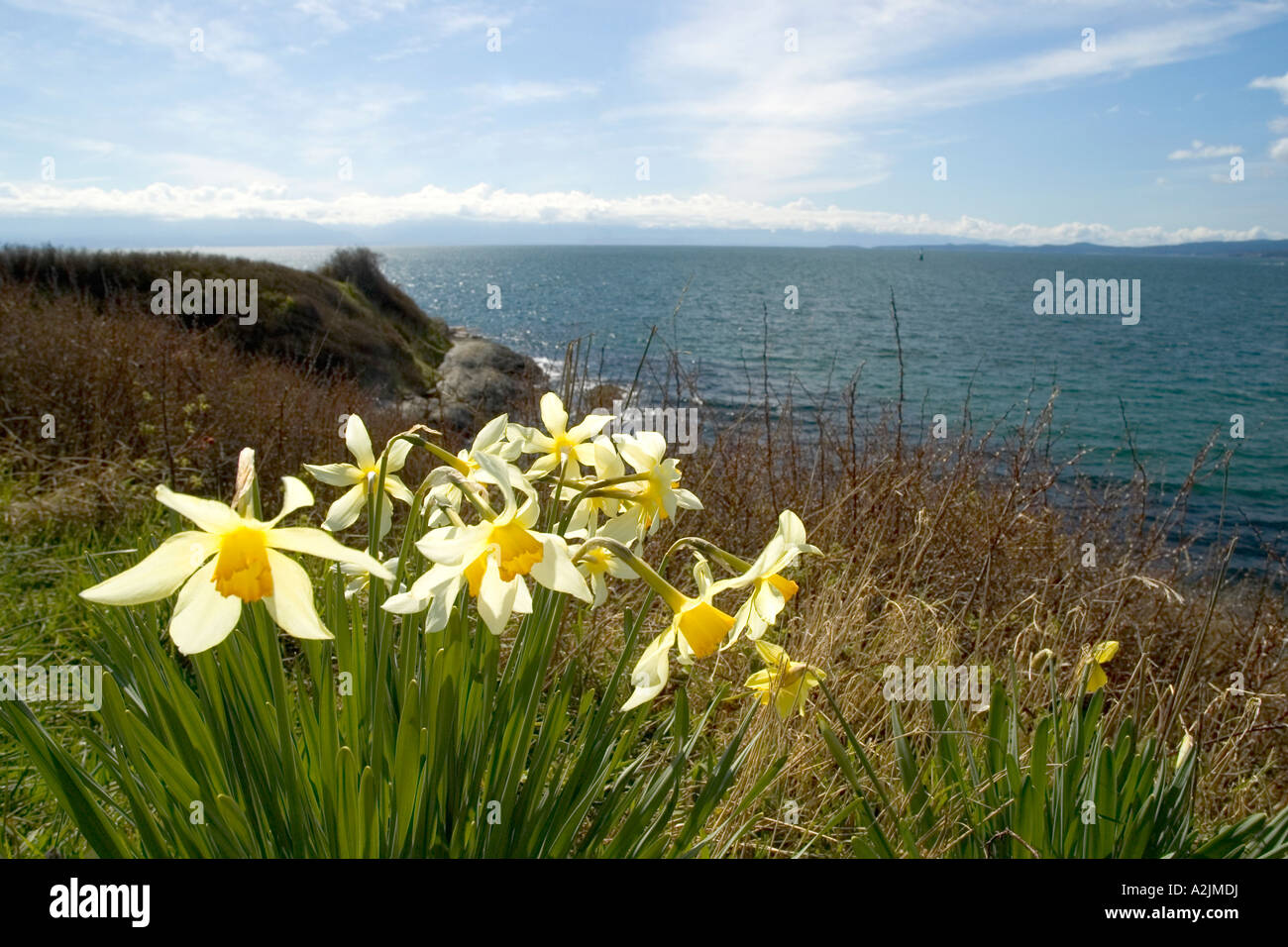Dallas road waterfront hi-res stock photography and images - Alamy