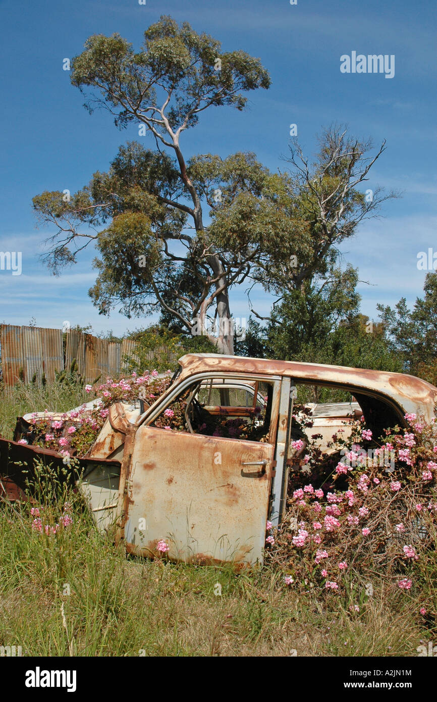 Fence broken neglected garden hi-res stock photography and images - Alamy