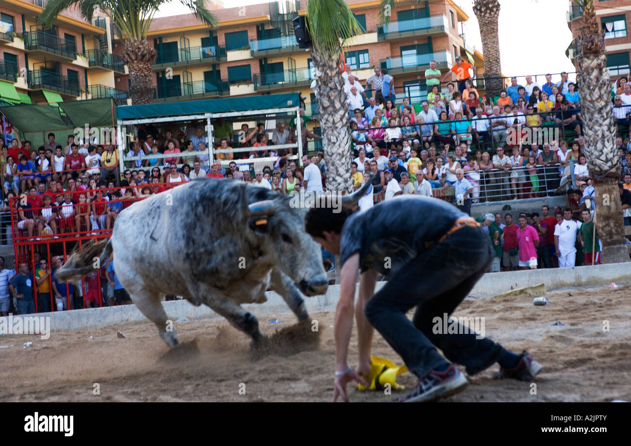 Bull Goring High Resolution Stock Photography and Images - Alamy