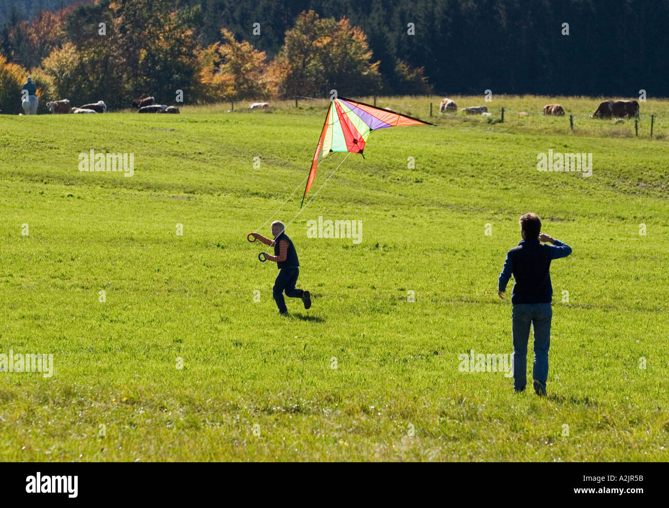 MR child flying a kite Bavaria Germany Stock Photo - Alamy