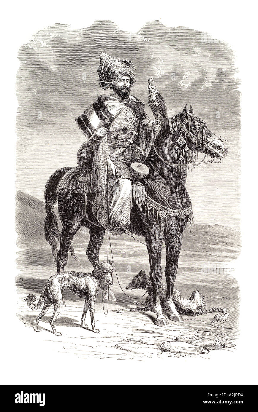 Falconer Falcon Falconry raptor bird hunt hunter Persia Iran Persian ...