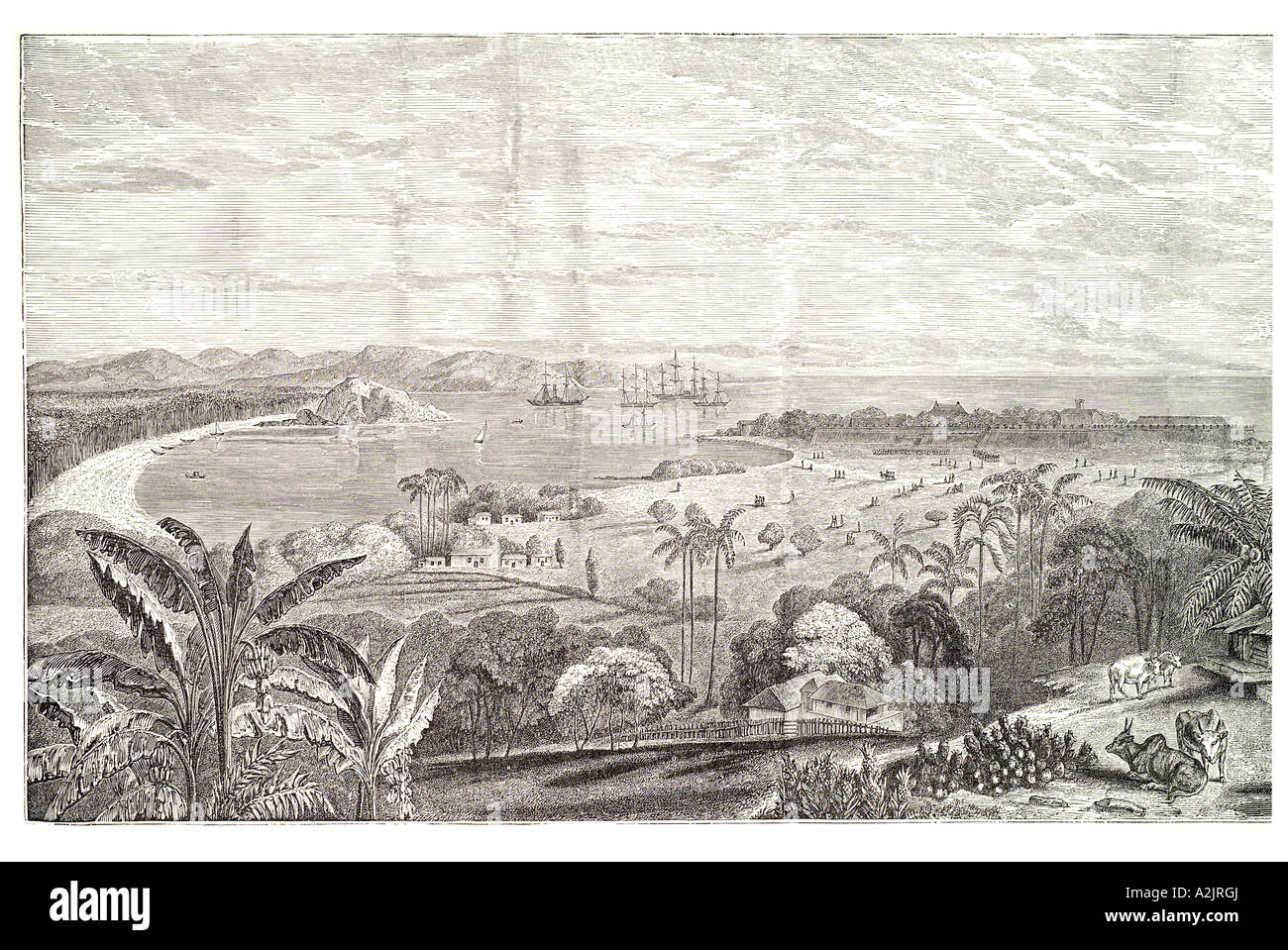 Point de galle hi-res stock photography and images - Alamy