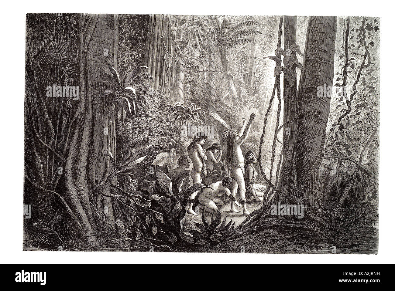 South America American native tribe rain forest people culture brazil ...