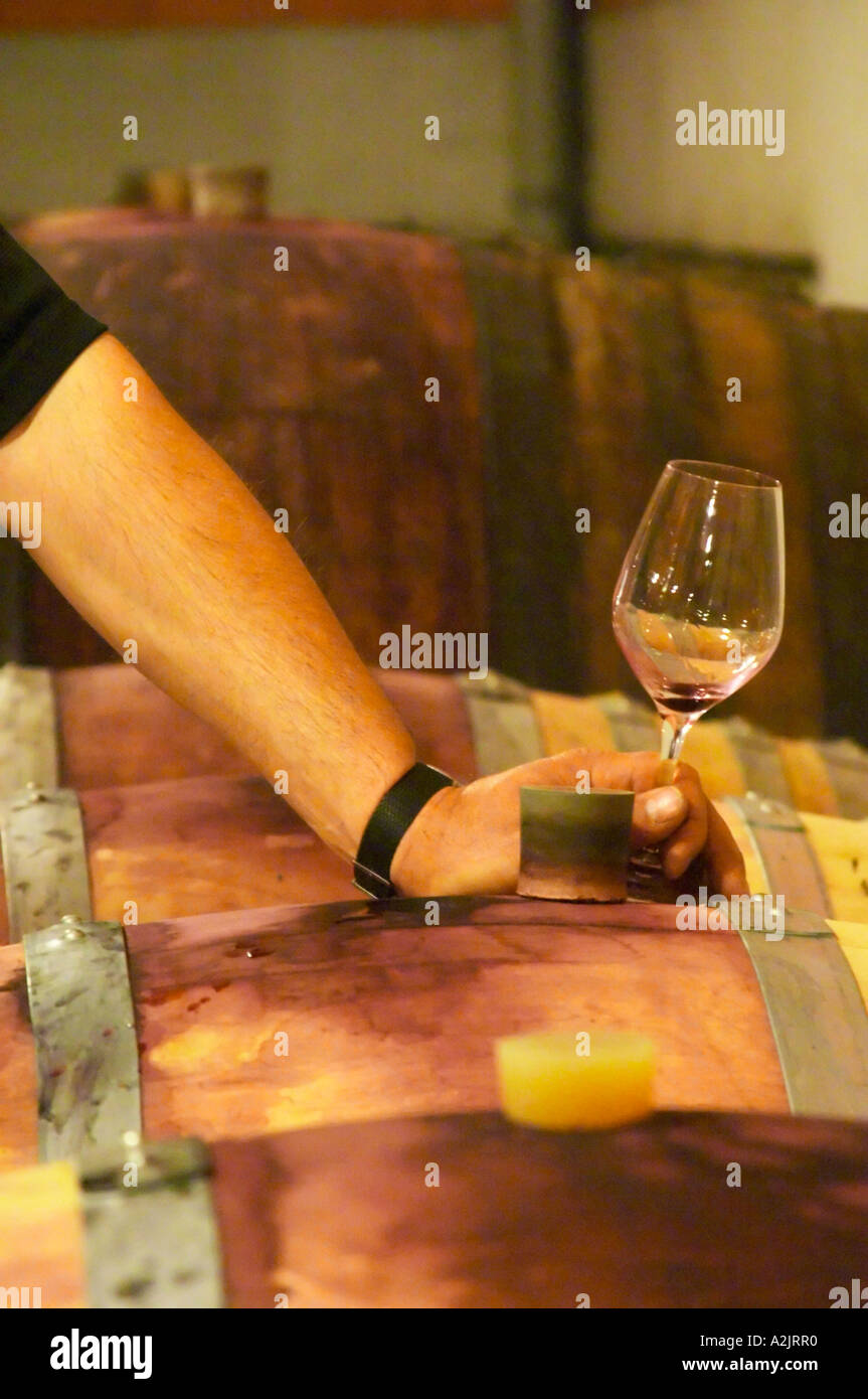 Cave P et Andre Perret in Chavannay, making Condrieu, Saint Joseph ...