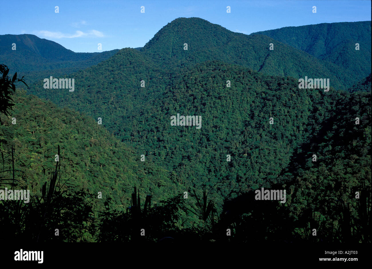 Carrillo hi-res stock photography and images - Alamy