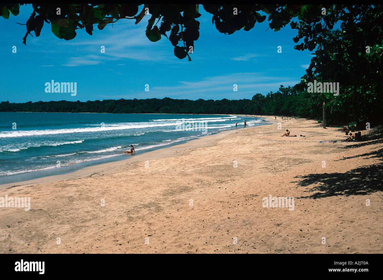 National park Cahuita Caribbean Costa Rica Stock Photo - Alamy