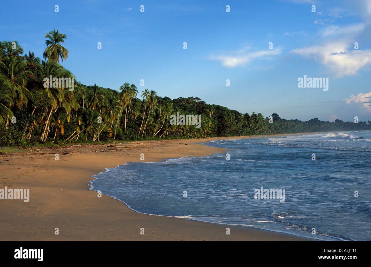 Manzanillo Caribbean Costa Rica Stock Photo - Alamy