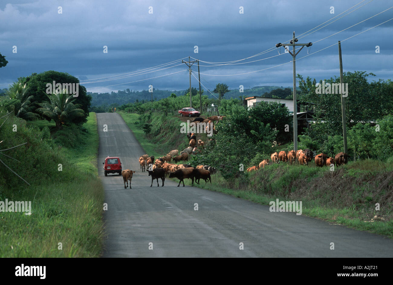 country road Muelle de San Carlos Costa Rica Stock Photo - Alamy