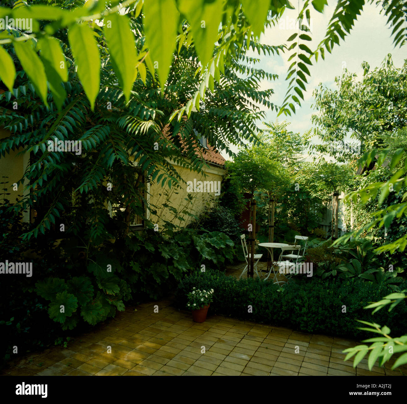 Shady paved courtyard garden with table and chairs Stock Photo - Alamy