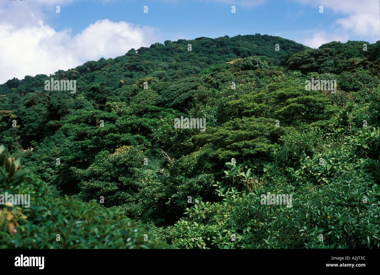 Cordillera de Tilaran Monteverde Costa Rica Stock Photo - Alamy