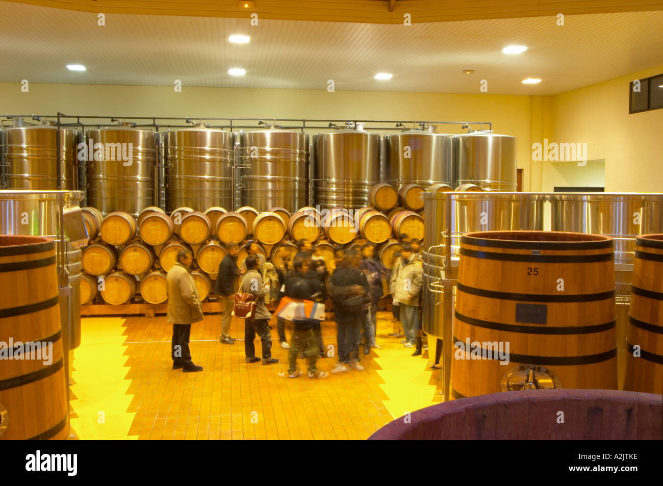 The winery with wooden and stainless steel fermentation vats. It is ...