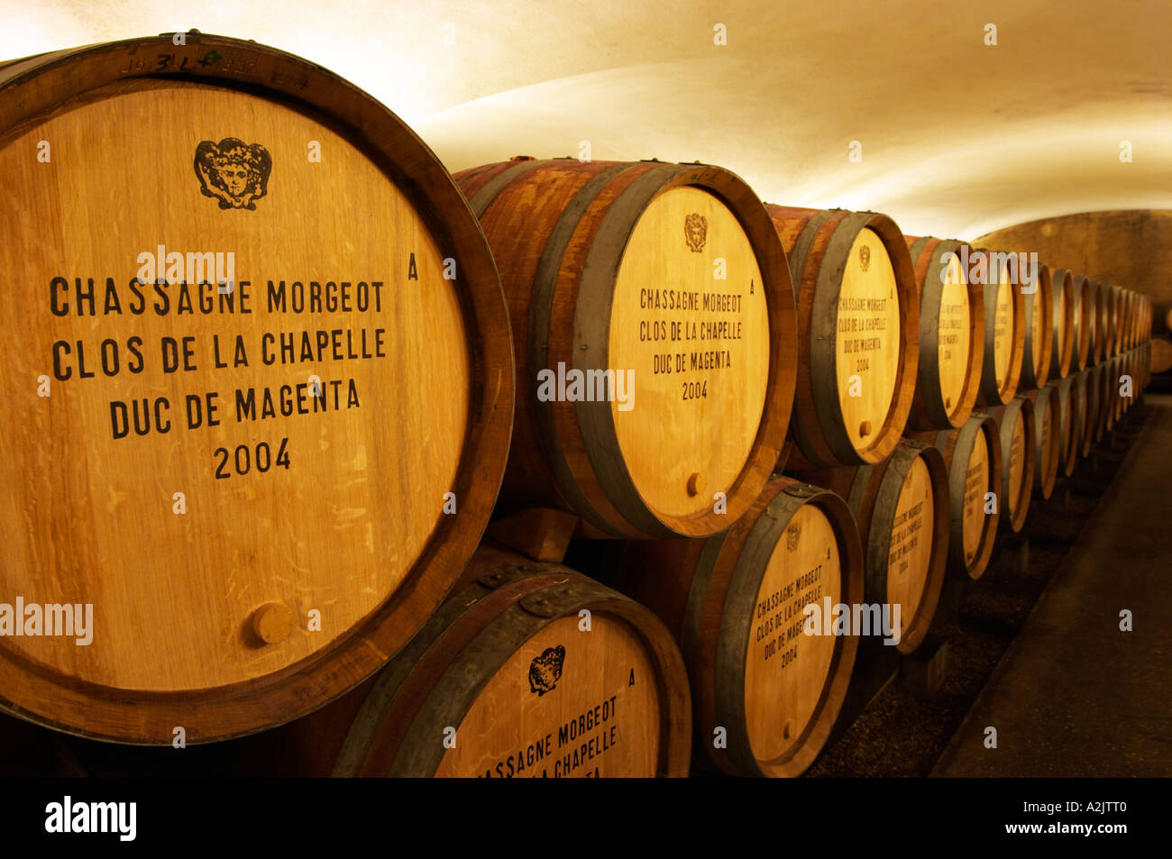 The old style vaulted barrel aging cellar with barriques pieces with ...