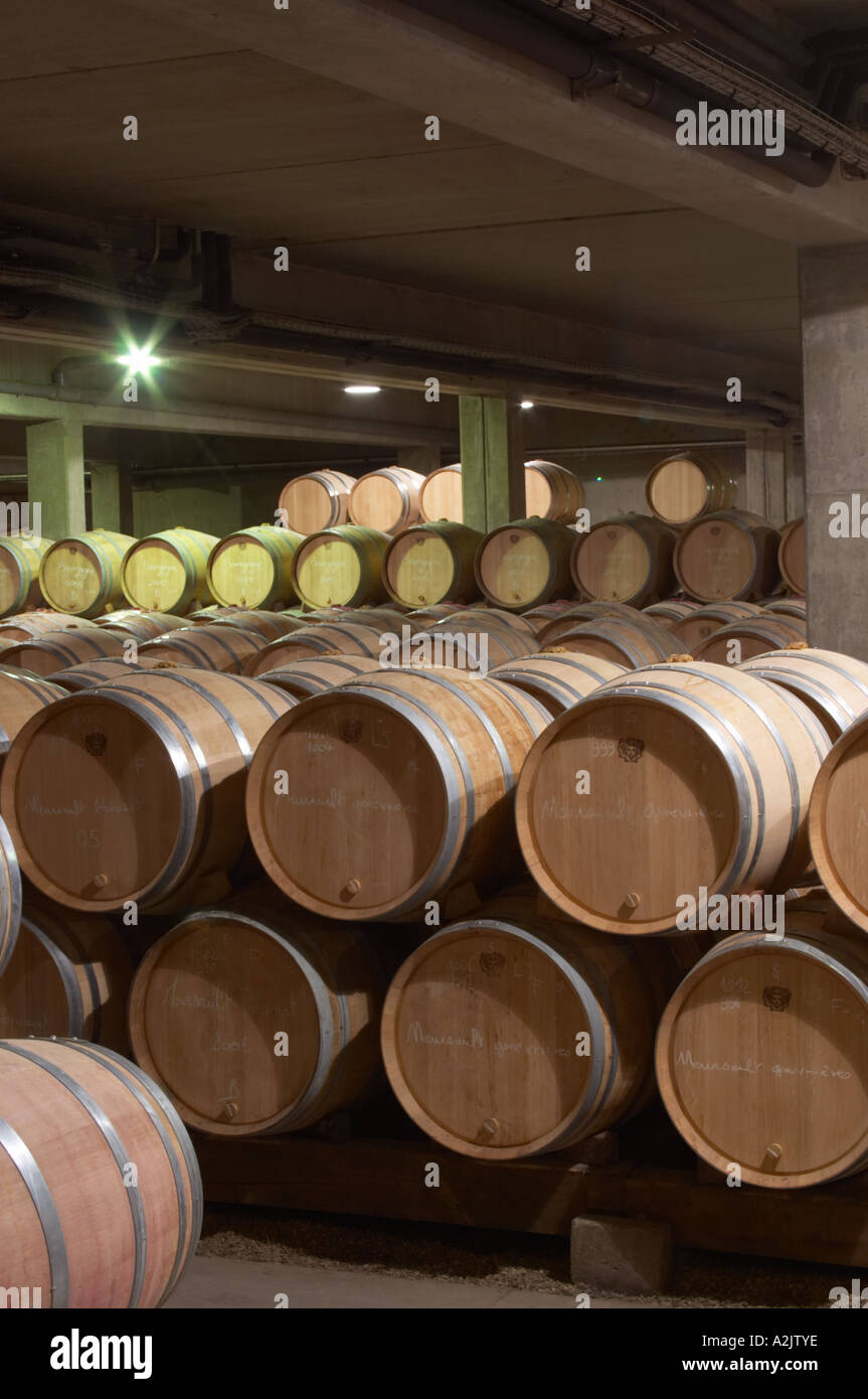The modern barrel aging cellar with barriques pieces with maturing wine ...