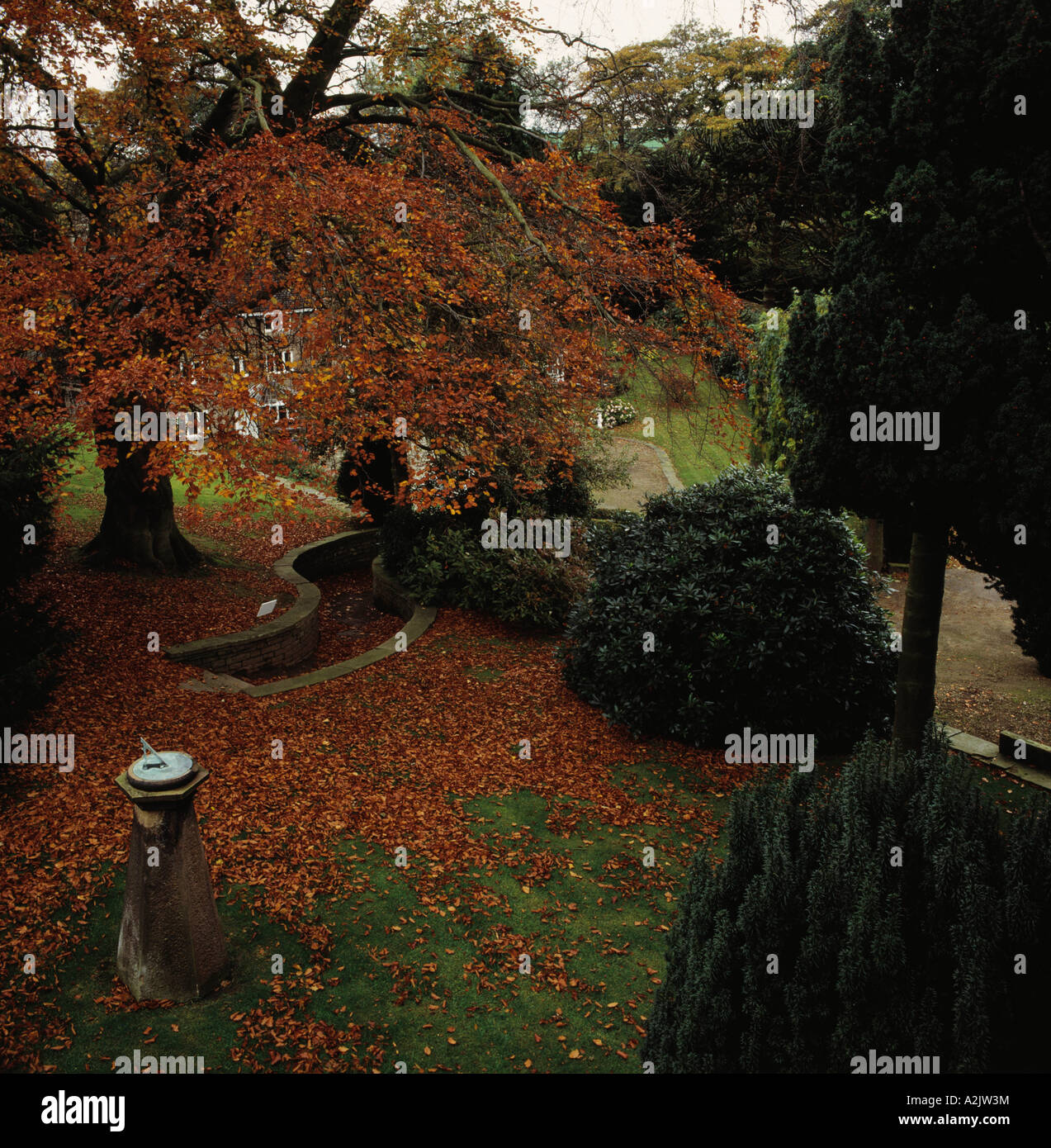Aerial view of sundial in Autumn garden with large tree and leaves on ...