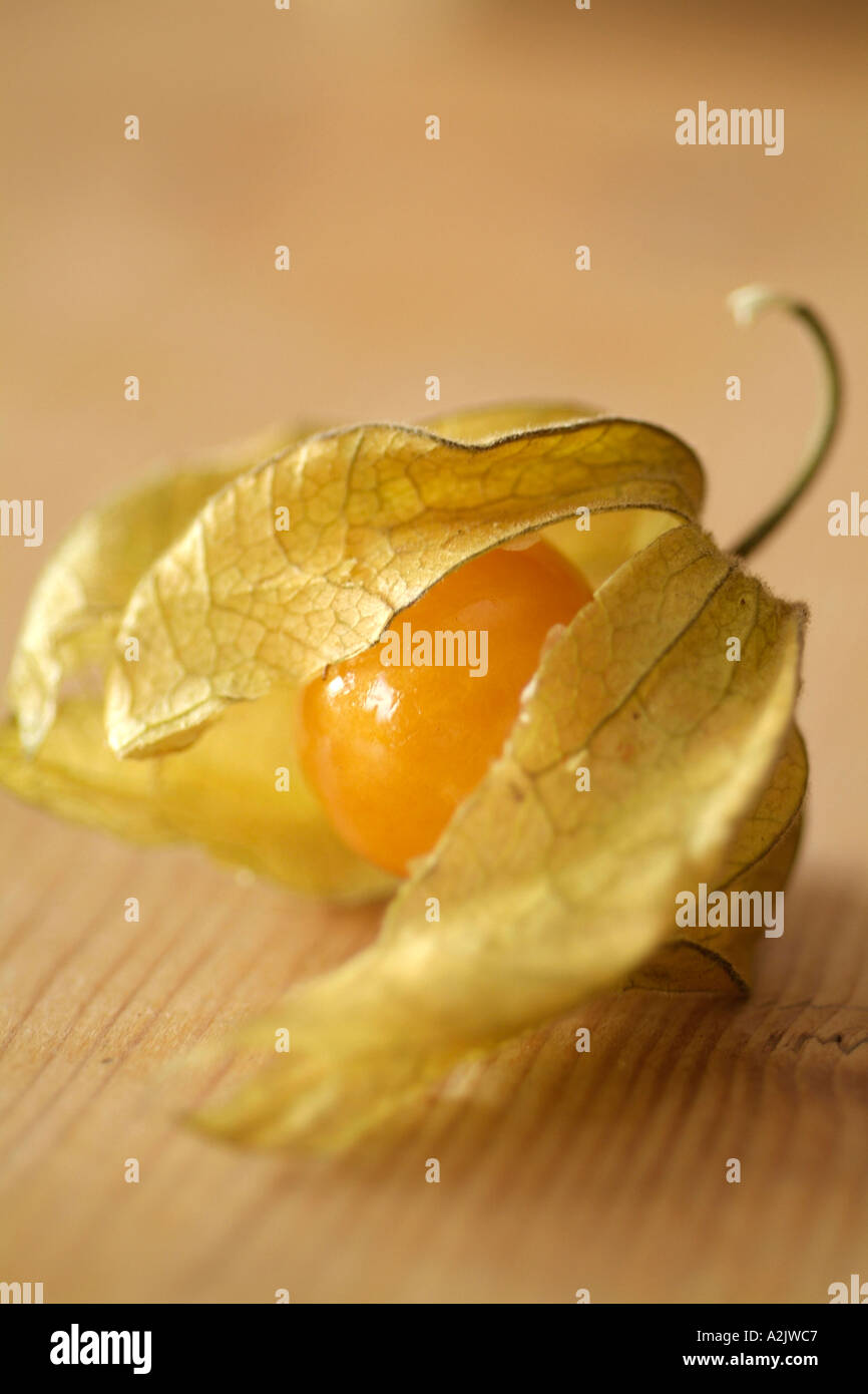 Physalis solanacea hi-res stock photography and images - Alamy