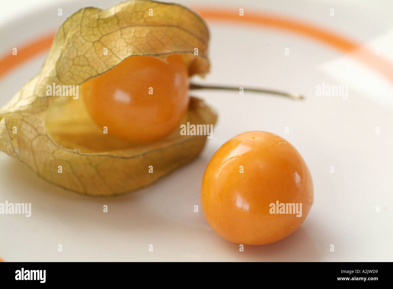 Physalis solanacea hi-res stock photography and images - Alamy