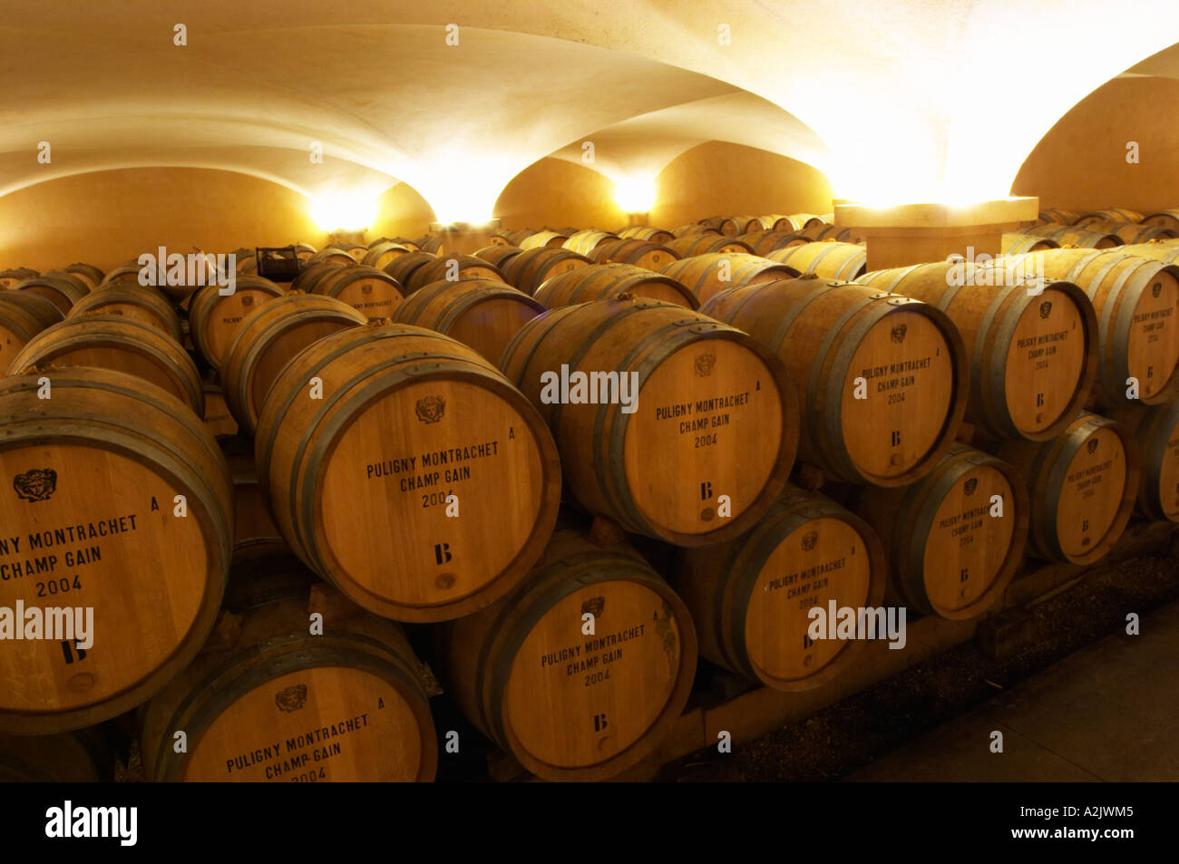 The old style vaulted barrel aging cellar with barriques pieces with ...