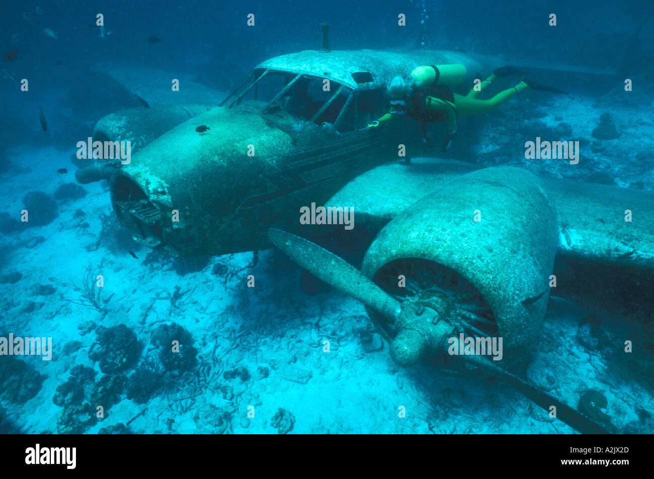 Aruba Woman Scuba Diver Beside Sunken Airplane Stock Photo - Alamy