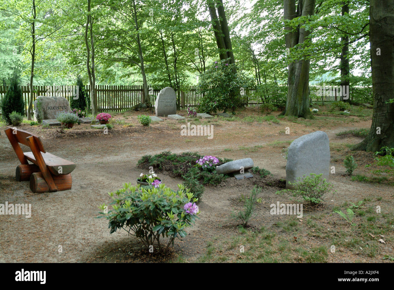old cemetery in the forest Stock Photo - Alamy
