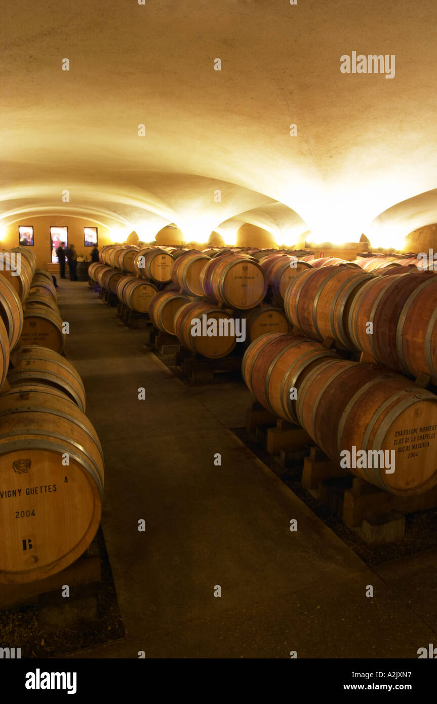 Barrel vaulted wine cellar hi-res stock photography and images - Alamy