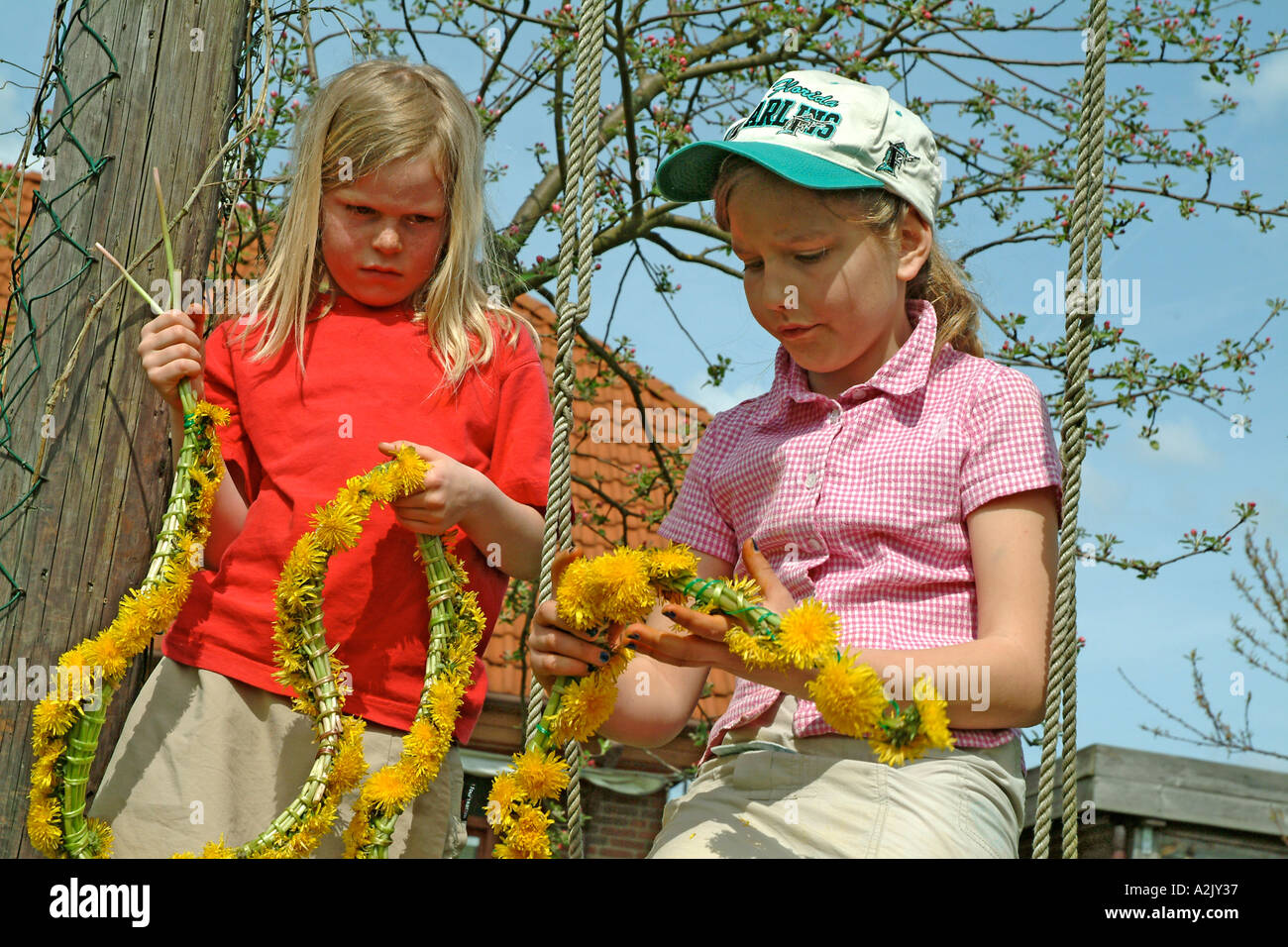 children tinker with dandelion Stock Photo - Alamy