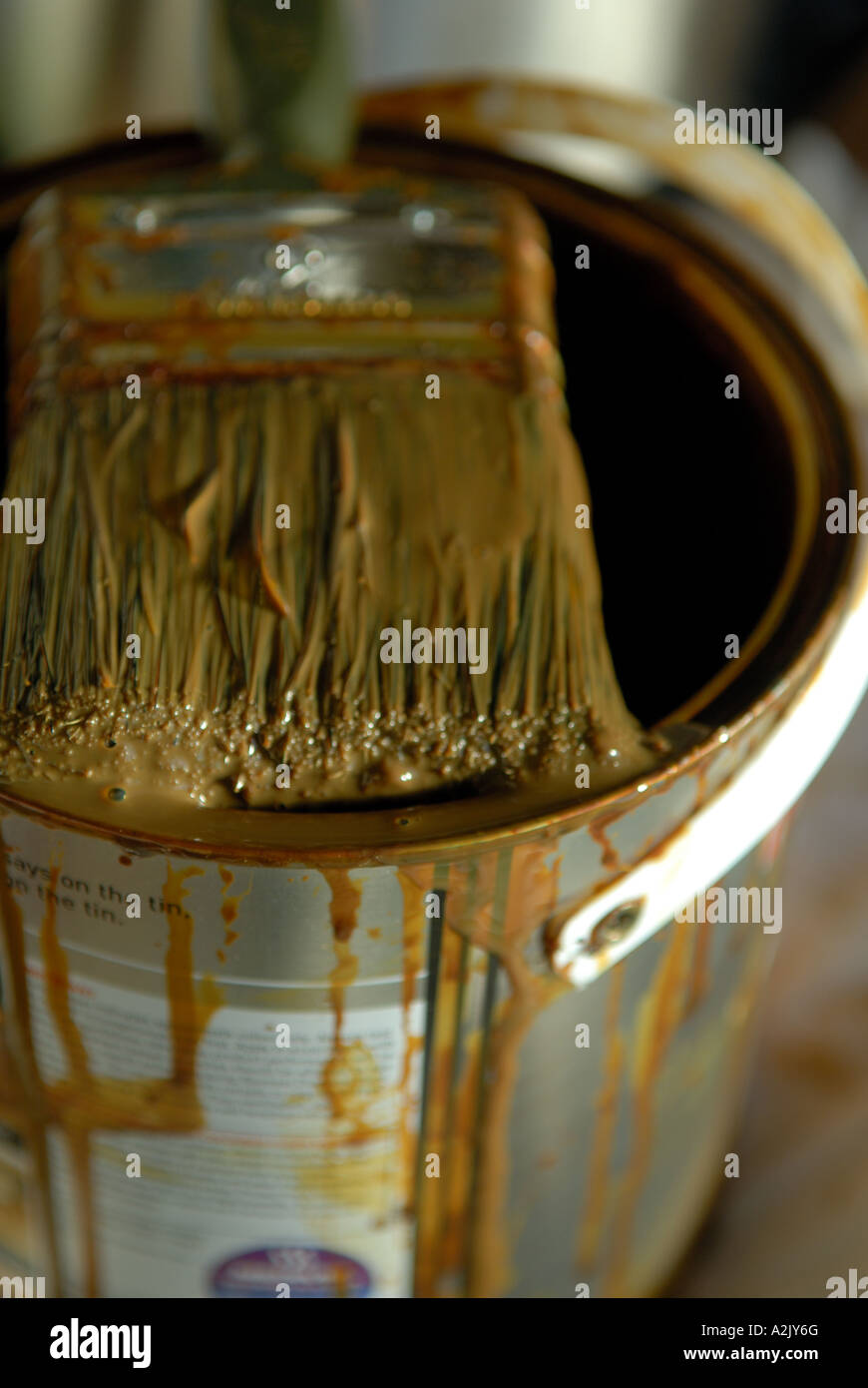 Paint brush on Can of Wood Stain Stock Photo - Alamy