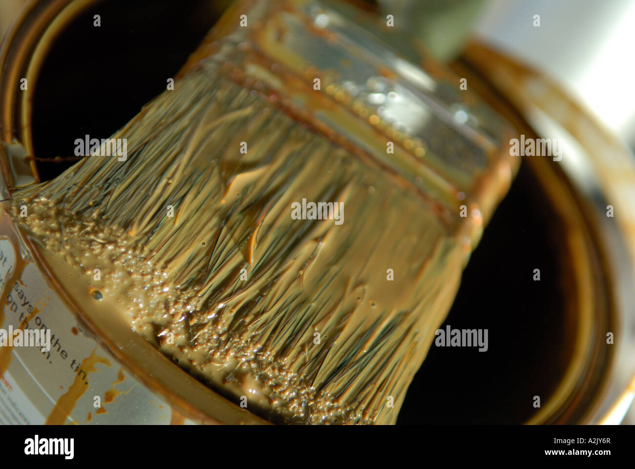 Antique wood stain on paint brush Stock Photo - Alamy