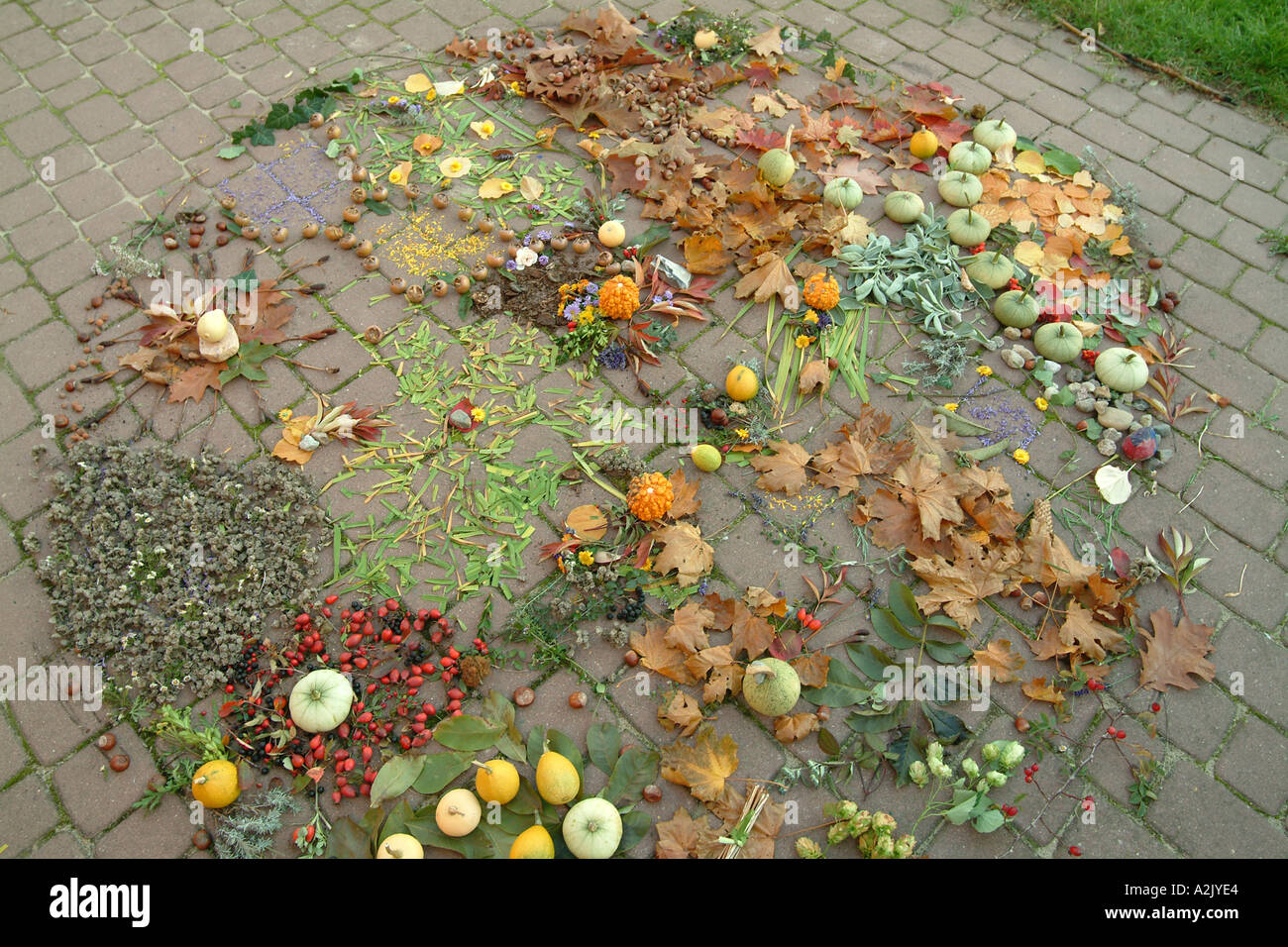 mandala nature material Stock Photo - Alamy