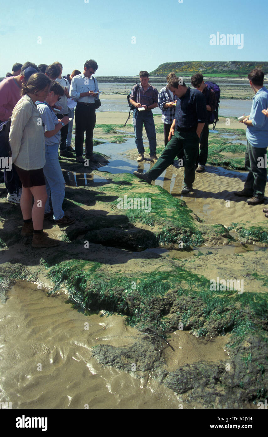 Cardiff University geography field trip, Port Eynon, Gower, Wales, UK ...