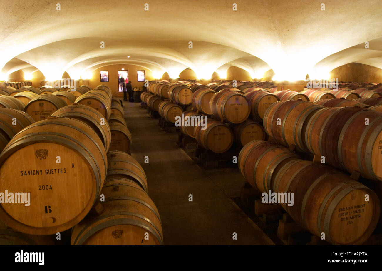 The old style vaulted barrel aging cellar with barriques pieces with ...