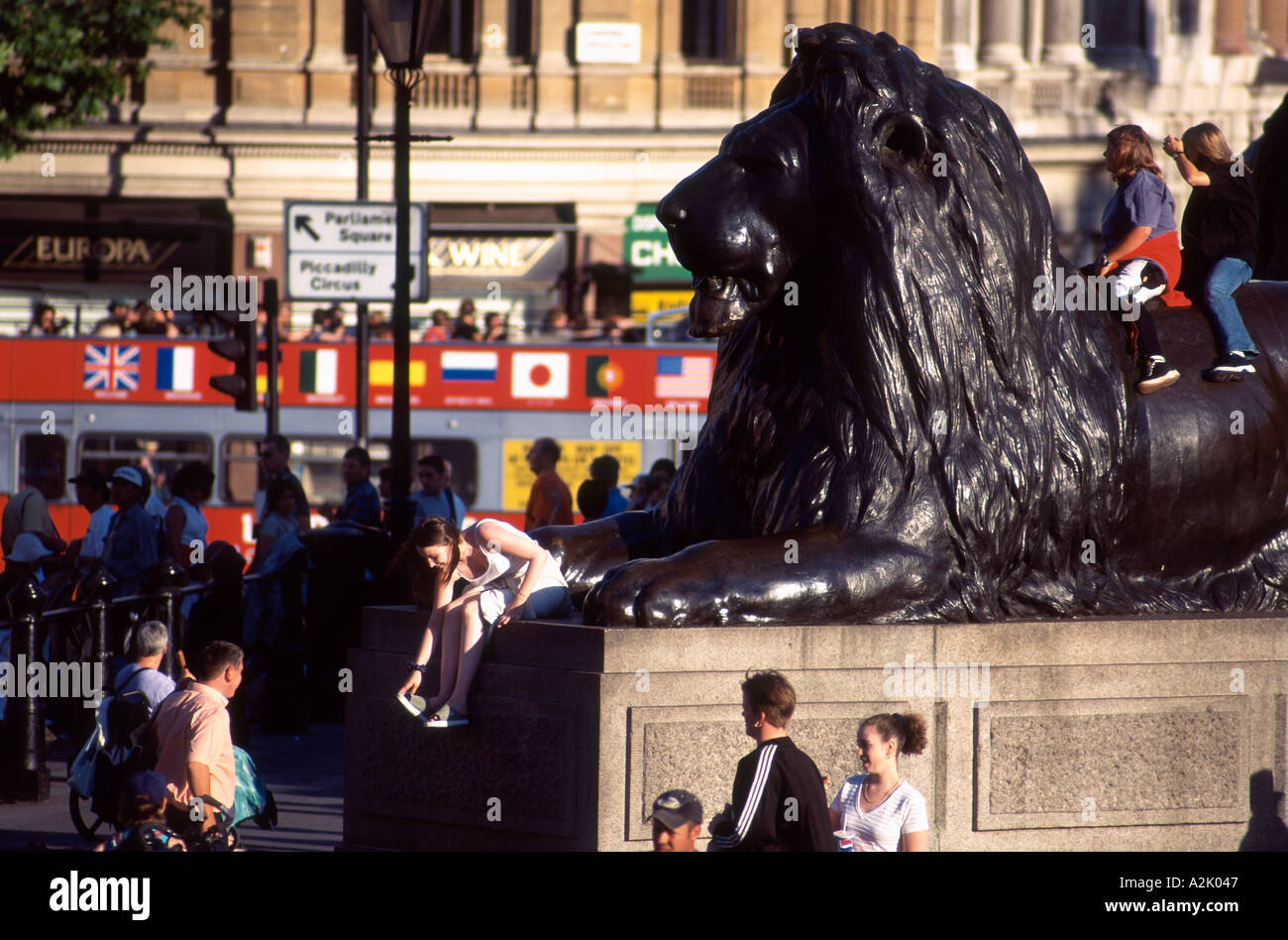 Lion kingdom hi-res stock photography and images - Alamy
