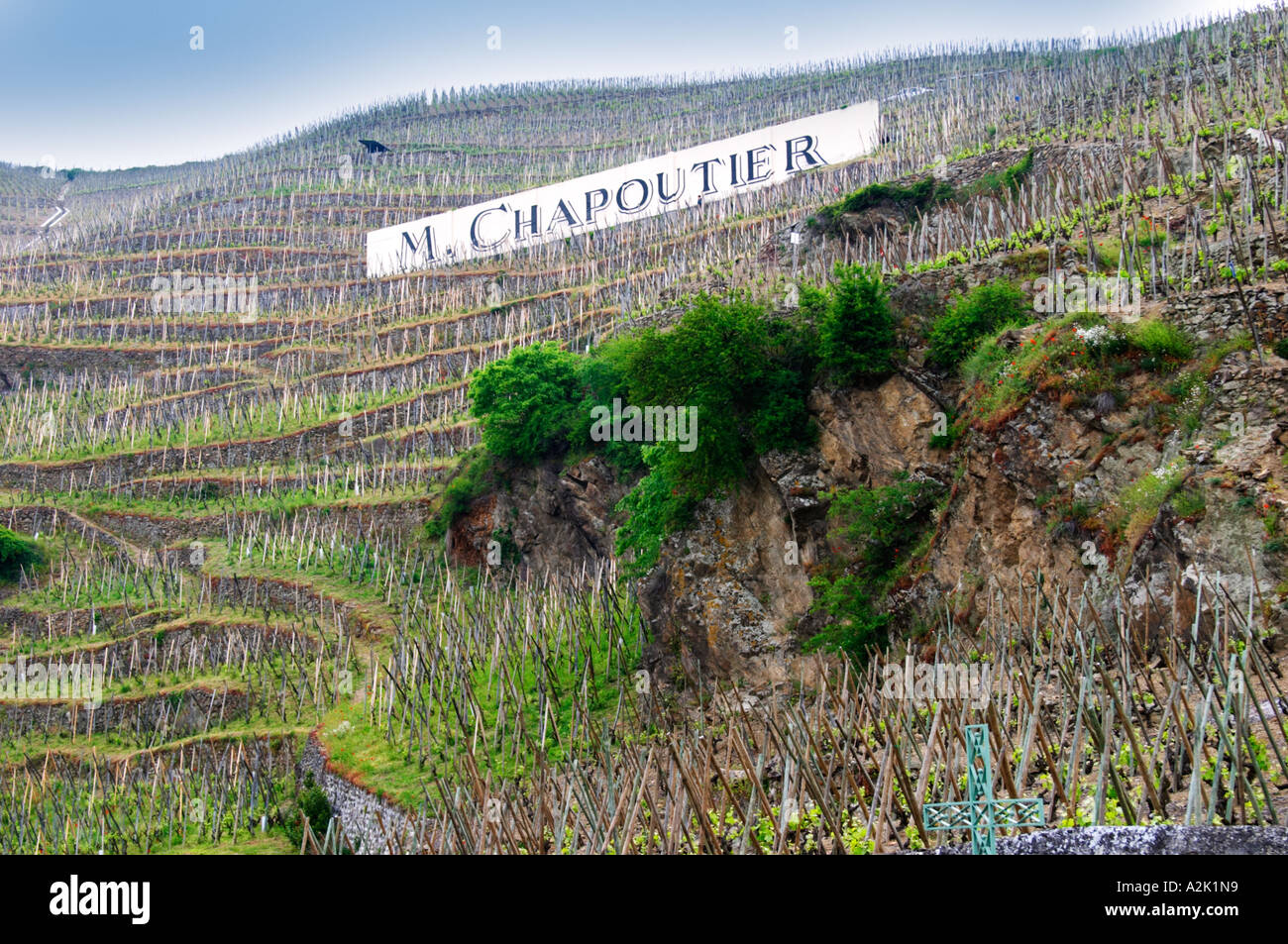 Terraced vineyards in the Cote Rotie district around Ampuis in northern ...