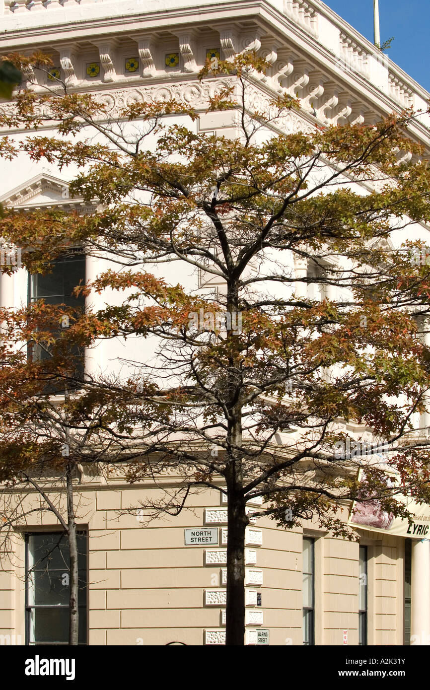 Belfast autumn urban hi-res stock photography and images - Alamy
