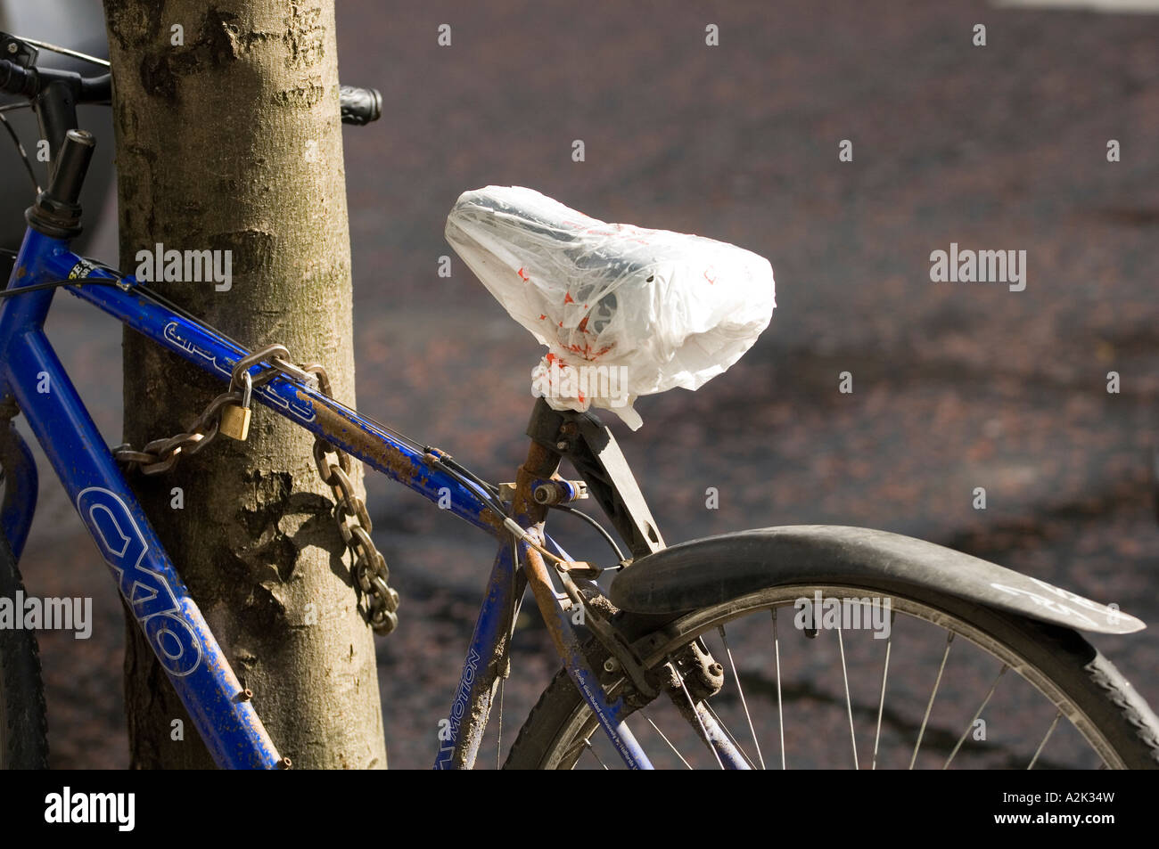 Old rusty bike chained to tree Stock Photo - Alamy