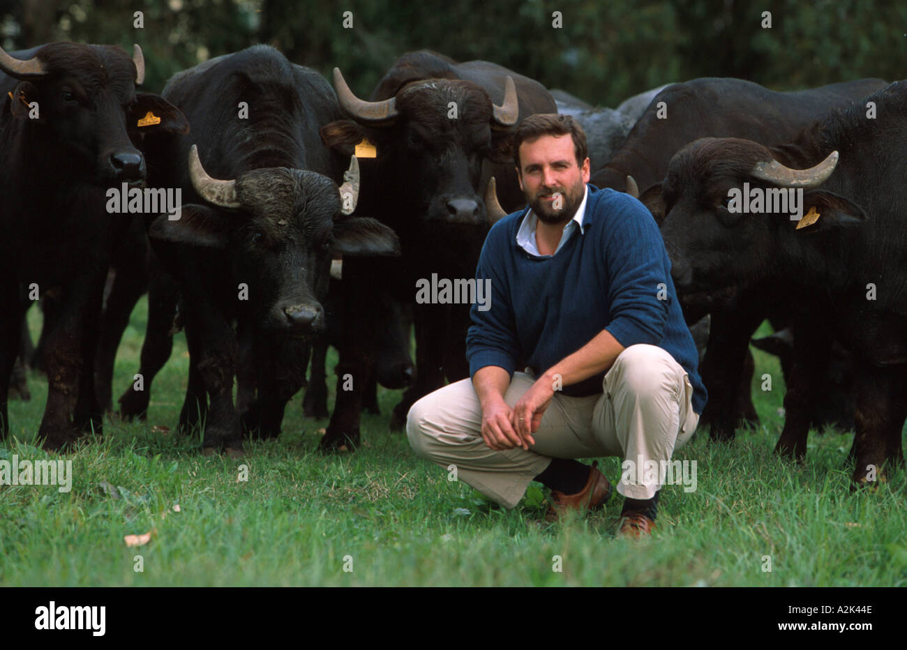 Bufale hi-res stock photography and images - Alamy