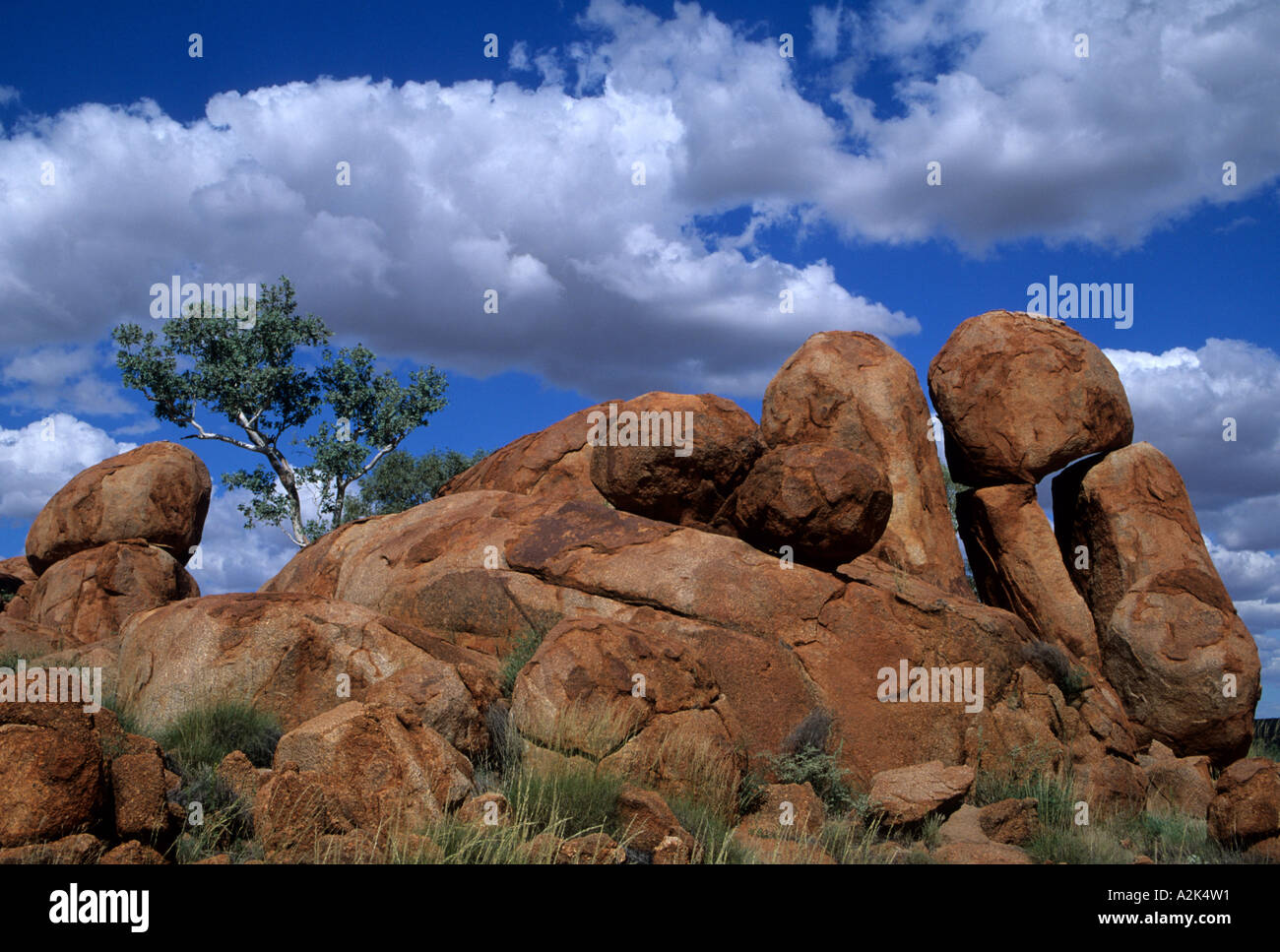 Australia, Devil's Marbles. Spherical sandstone boulders and Ghost Gum ...