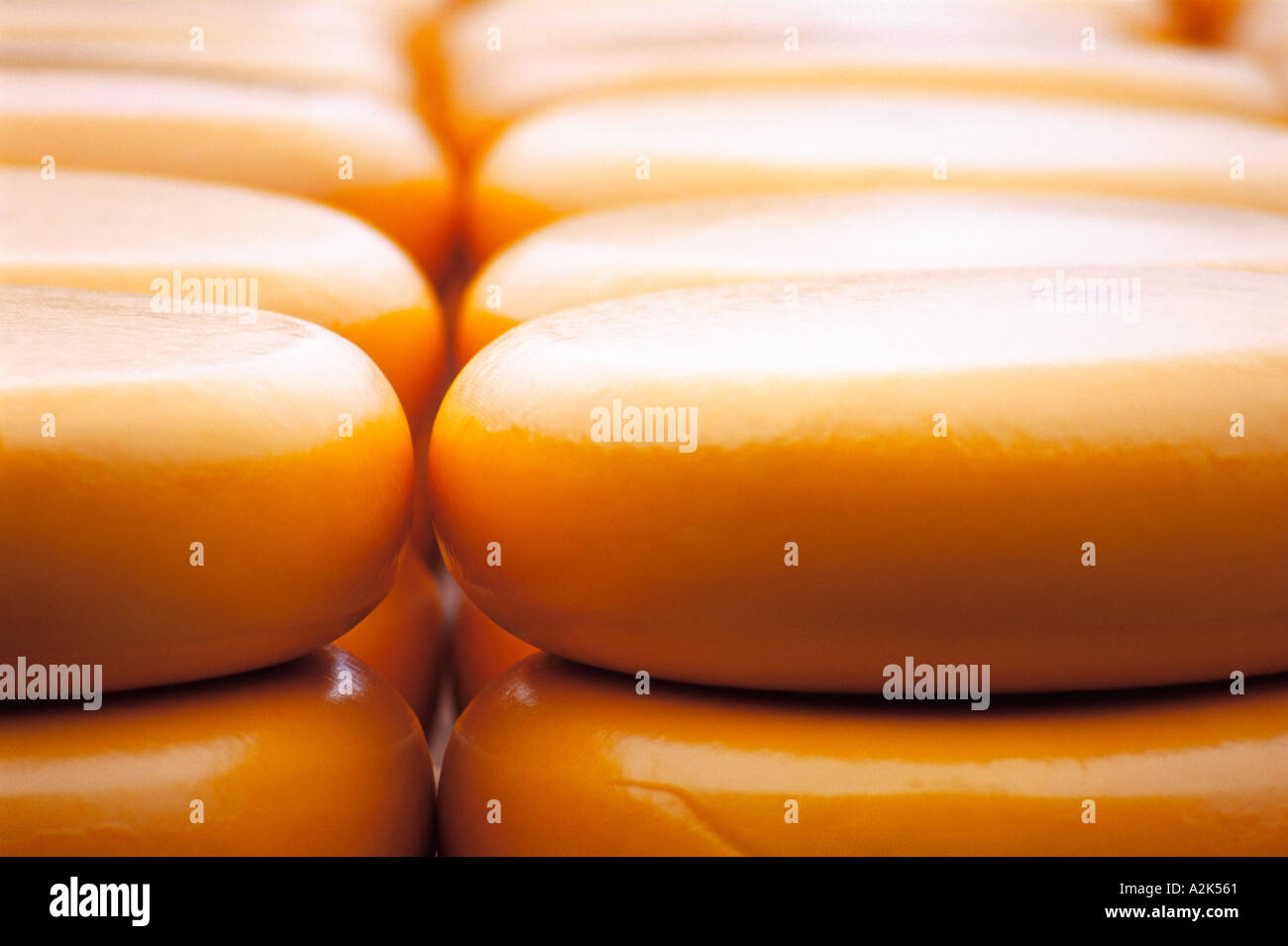 Circular round dutch cheese hi-res stock photography and images - Alamy