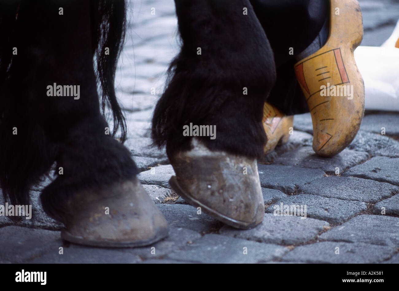 Cheese feet hi-res stock photography and images - Alamy