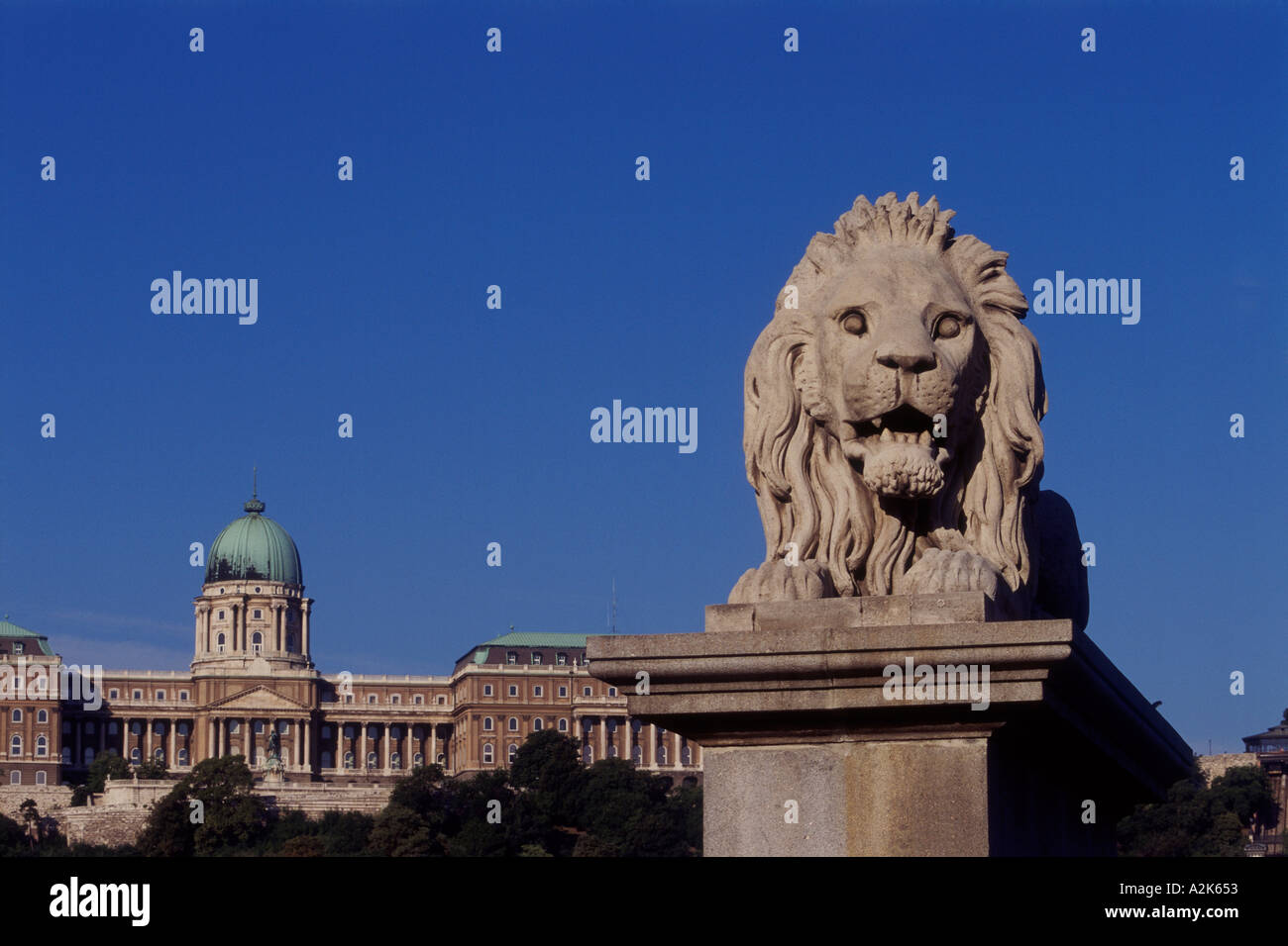 Hungary Budapest Chain Bridge Royal Castle Lion Stock Photo - Alamy