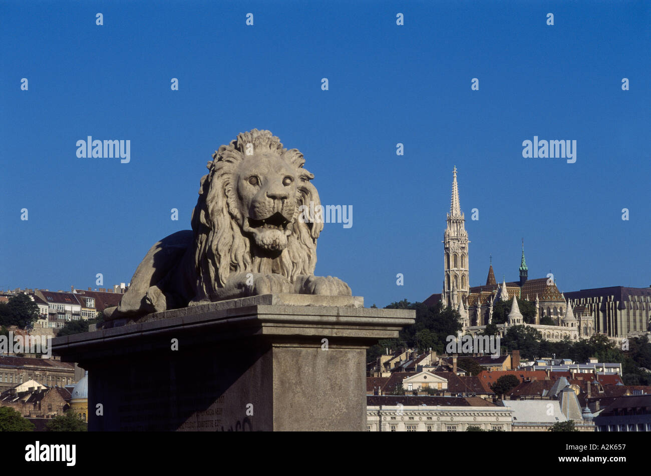 Hungary Budapest Chain Bridge Lion Stock Photo - Alamy