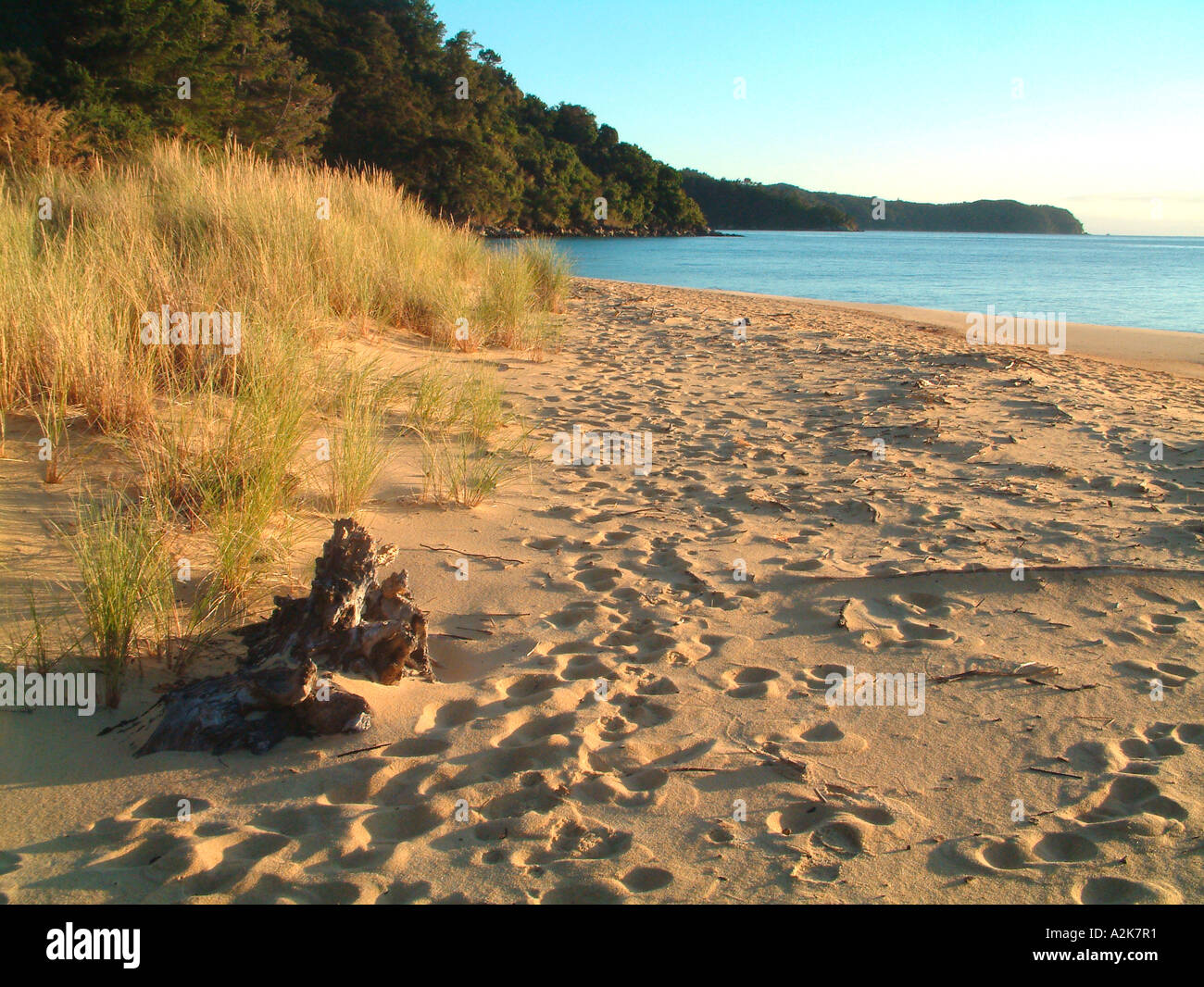 Appletree cove hi-res stock photography and images - Alamy