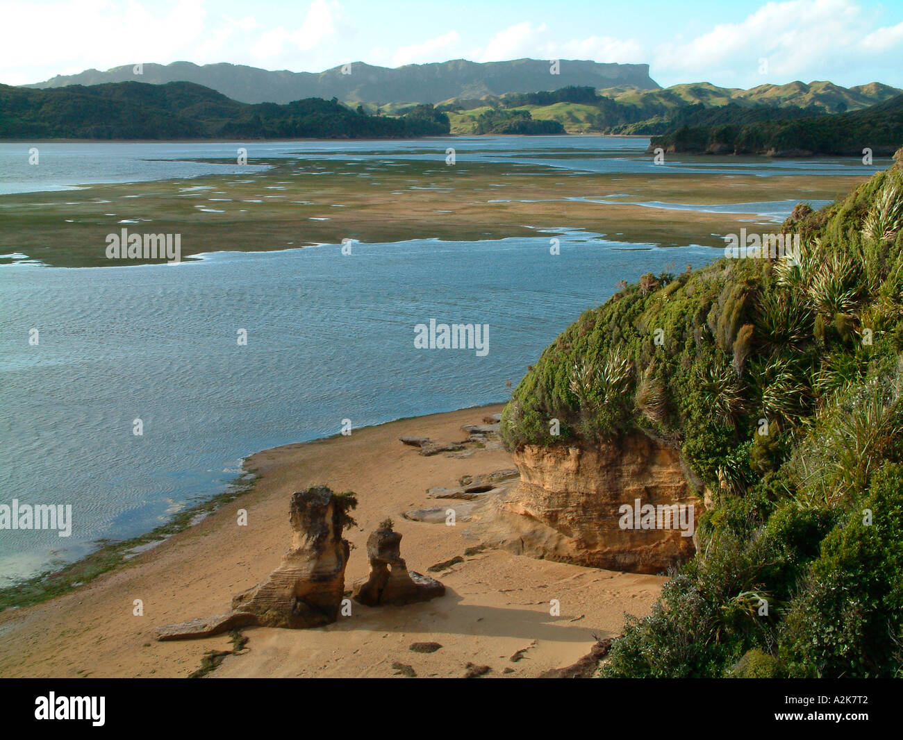 NZ, Farewell Spit. Tidal Lagoon Stock Photo - Alamy