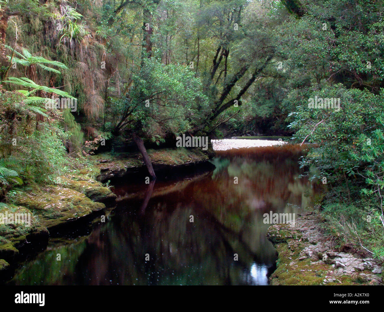 NZ, Oparara Basin. Oparara River Stock Photo - Alamy