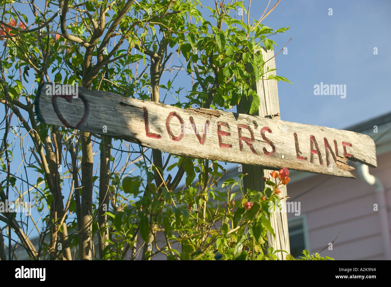 BAHAMAS, Abacos, Loyalist Cays, Elbow Cay, Hope Town: Lovers Lane Sign ...