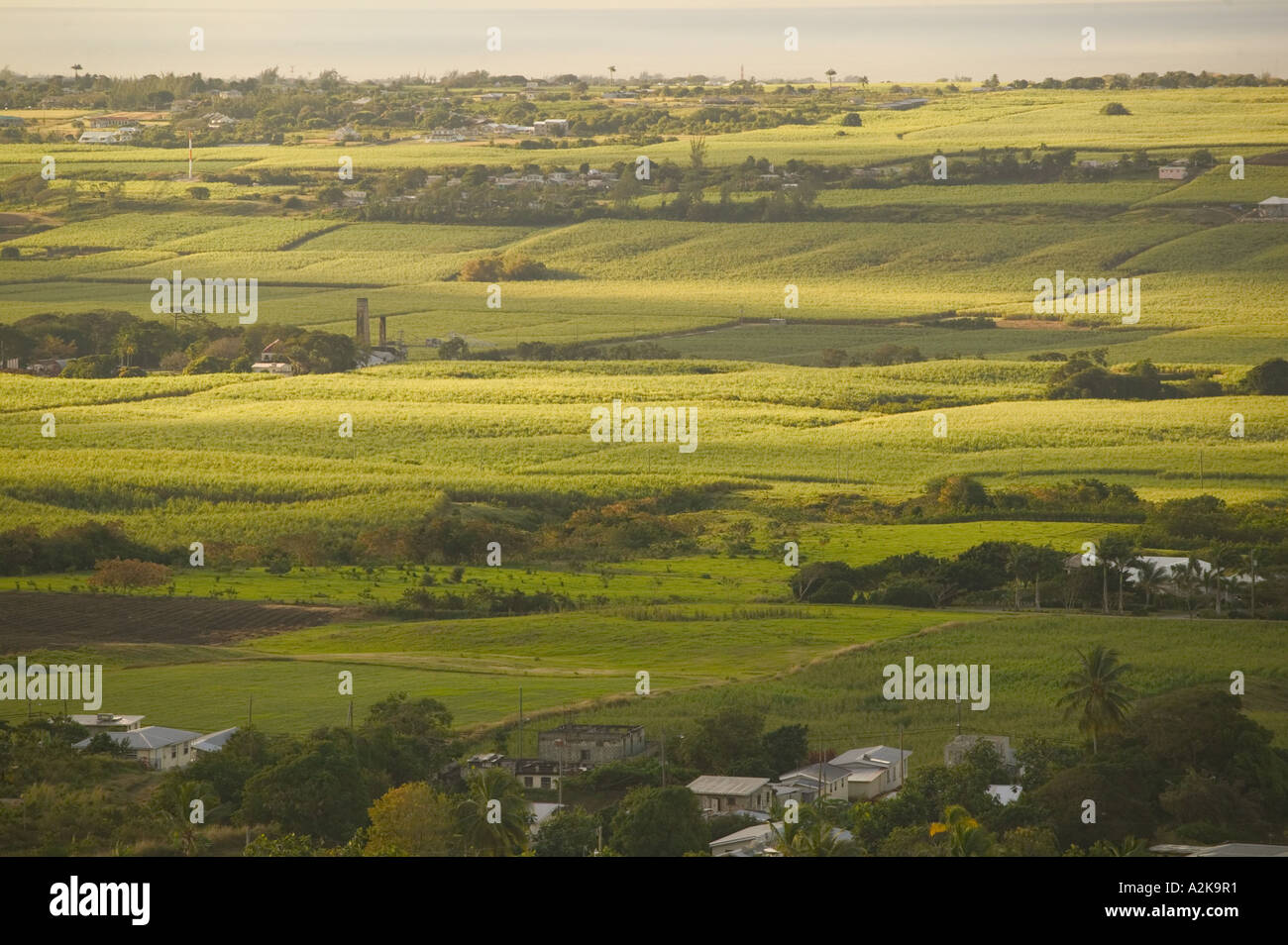 BARBADOS, St. George Parish, Morning Landscape View from Gun Hill ...