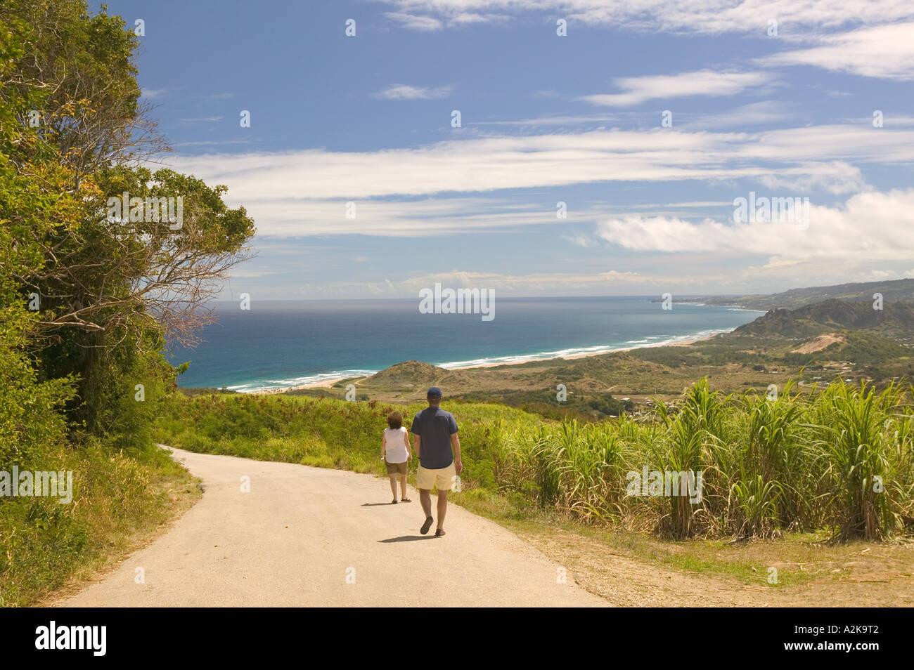 BARBADOS, North East Coast, Cherry Tree Hill: The Vista from Cherry ...