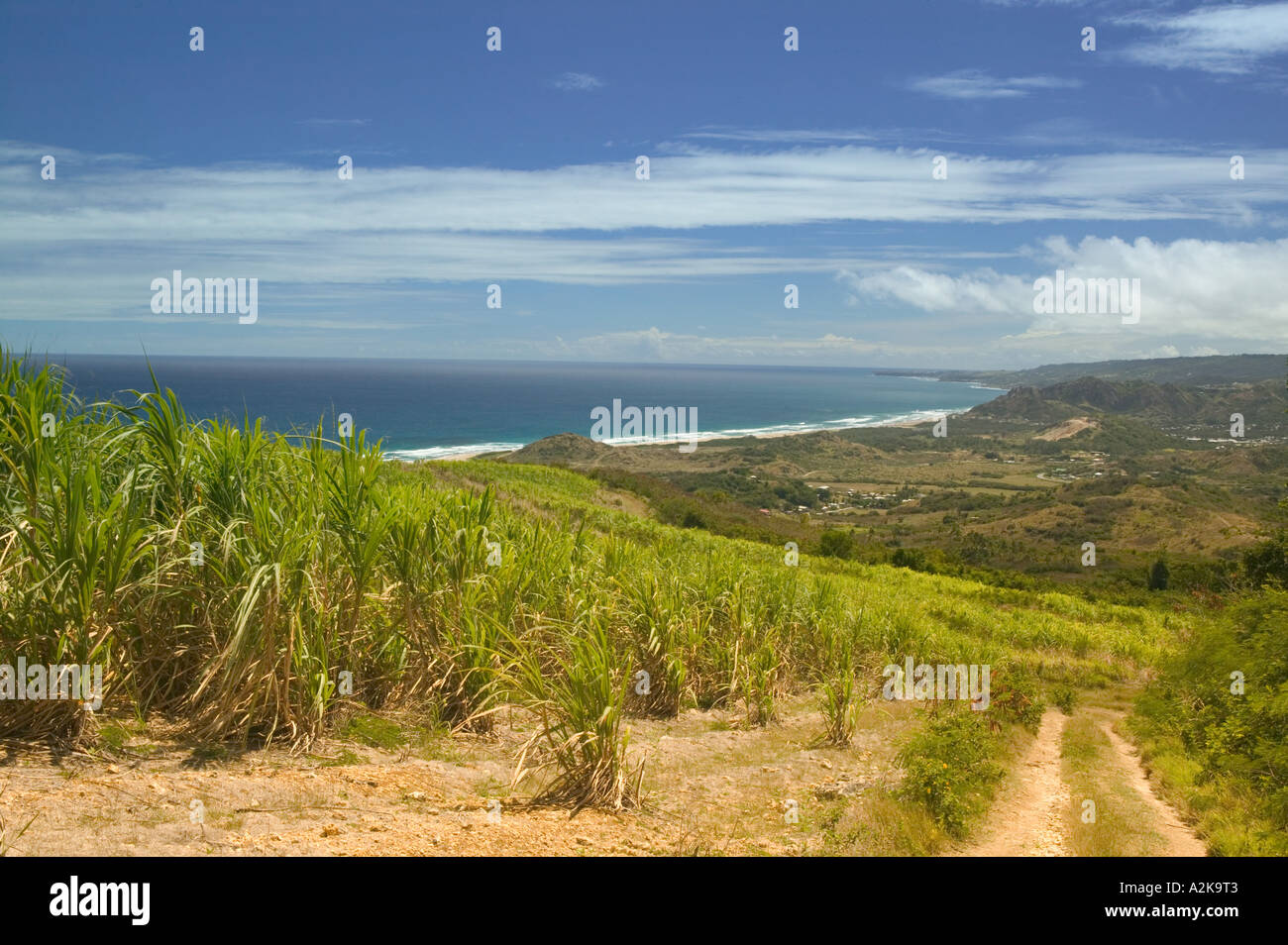 BARBADOS, North East Coast, Cherry Tree Hill: The Vista from Cherry ...