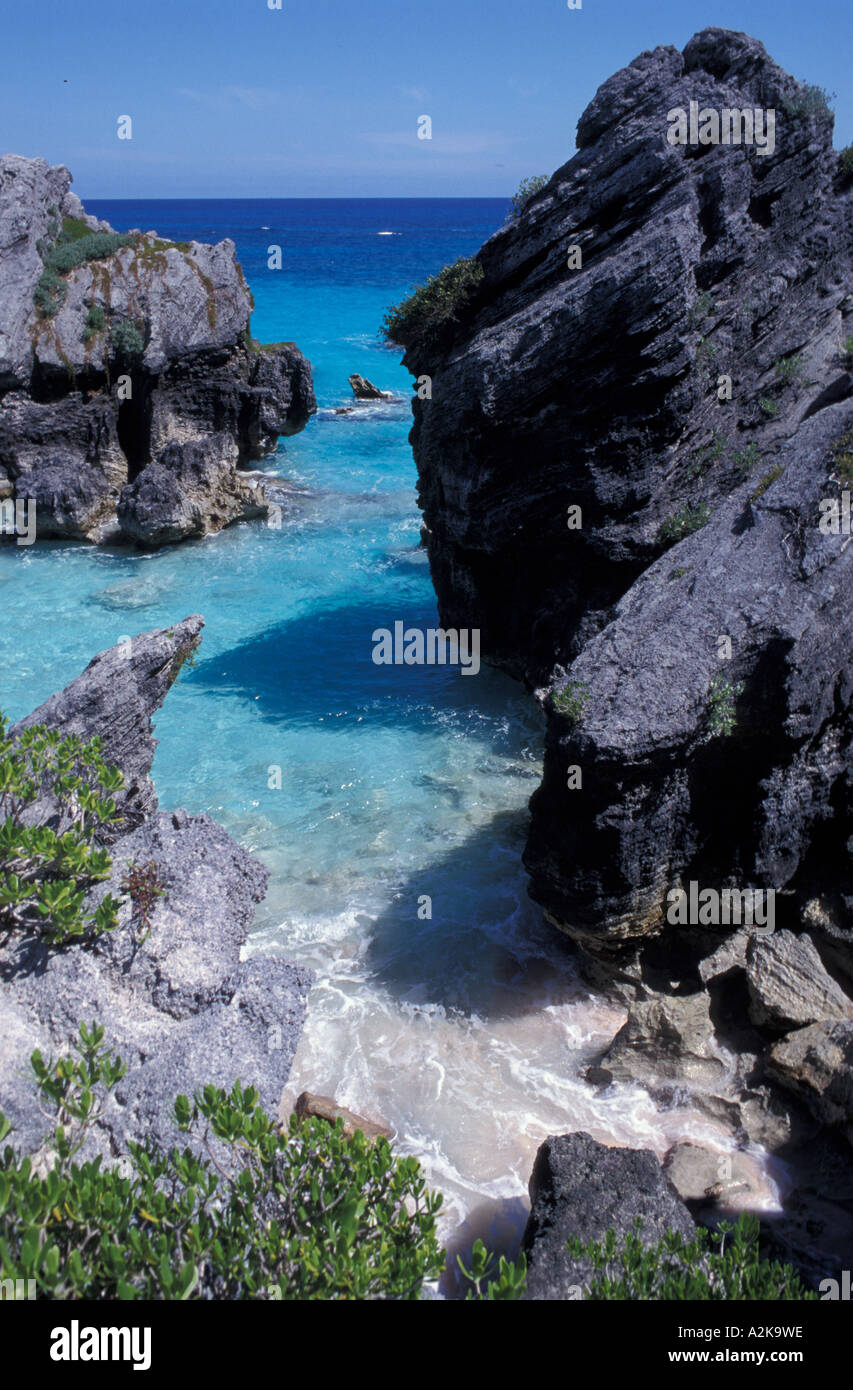 Caribbean, Bermuda, beach on south coast Stock Photo - Alamy